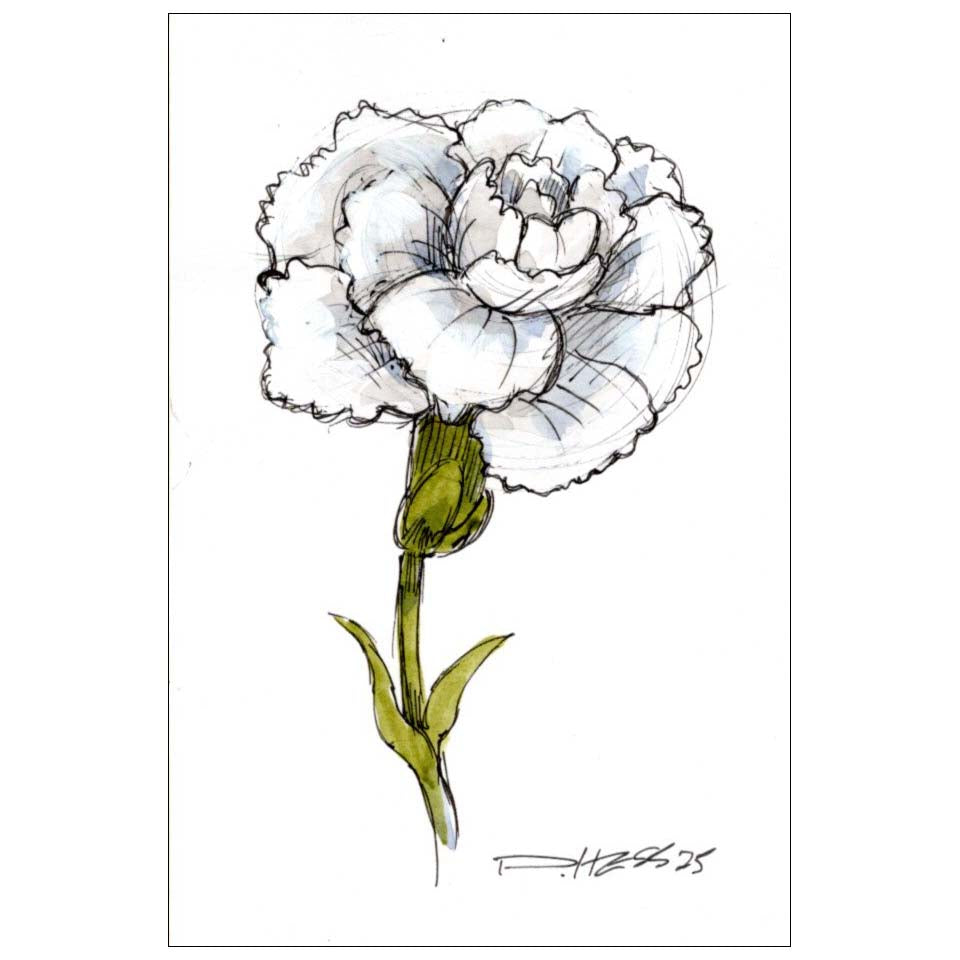 January Carnation #7 – Derek Hess